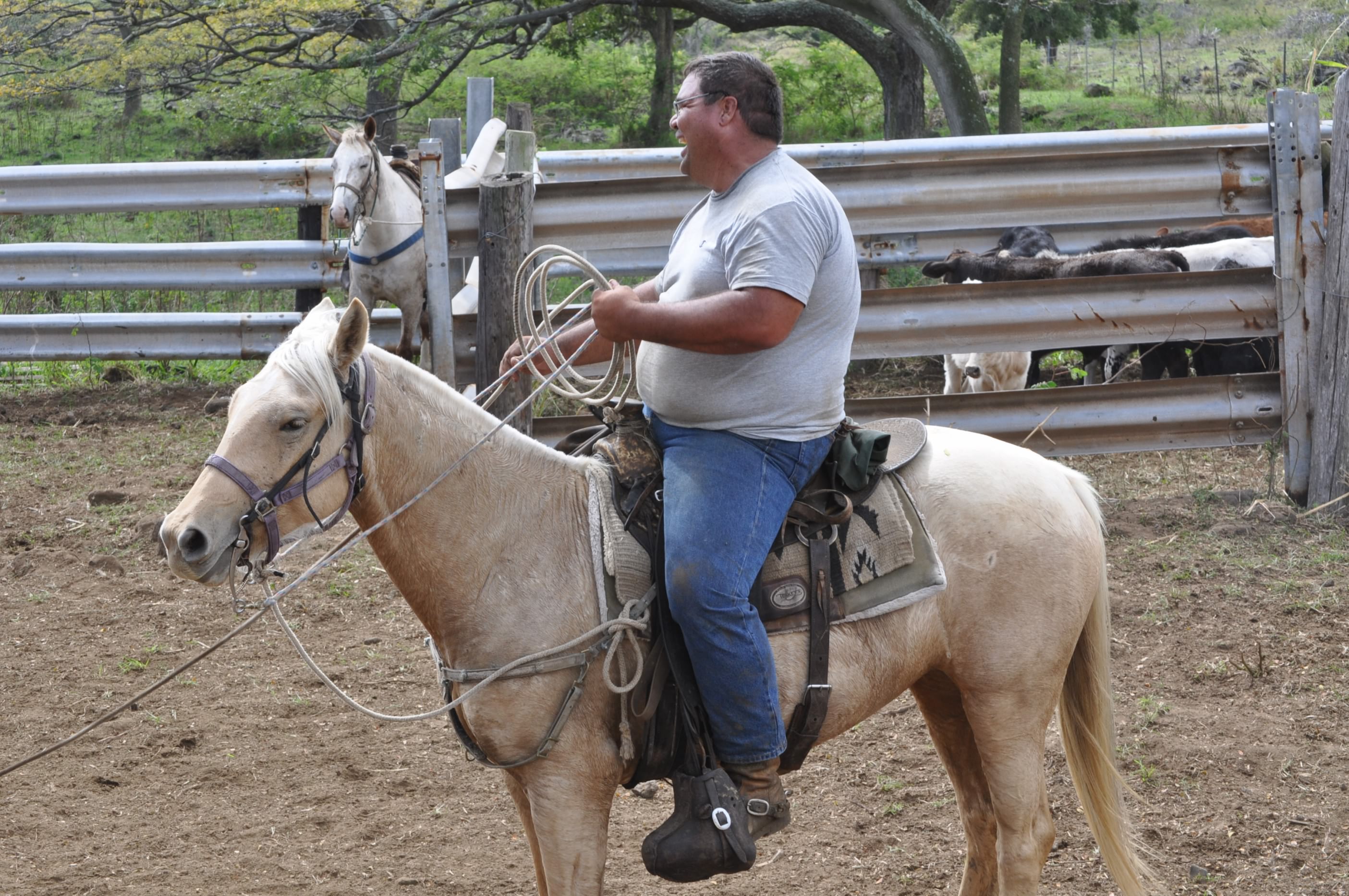 The Family – Kuahiwi Ranch