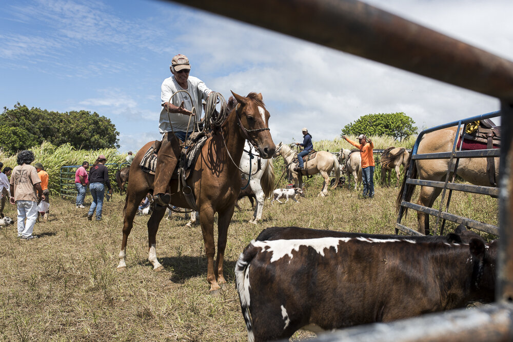 The Family – Kuahiwi Ranch