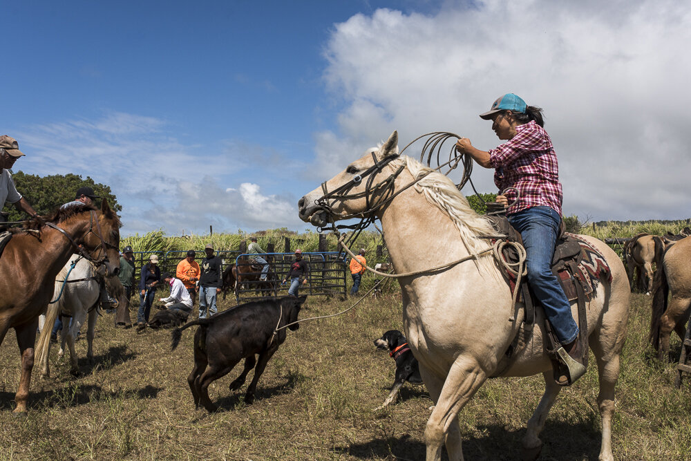The Family – Kuahiwi Ranch